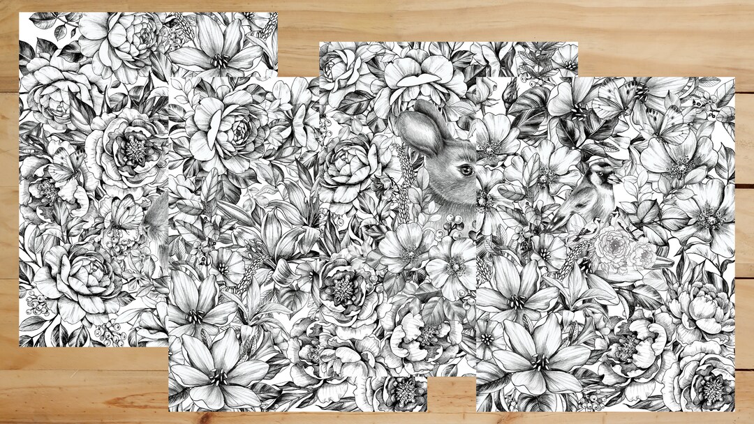 Set of 4 Adult Printable Coloring Pages Digital Download | Flower Birds ...