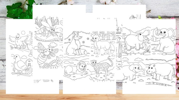 Set of 6 Printable Animals Coloring Page Kids Coloring Page - Etsy