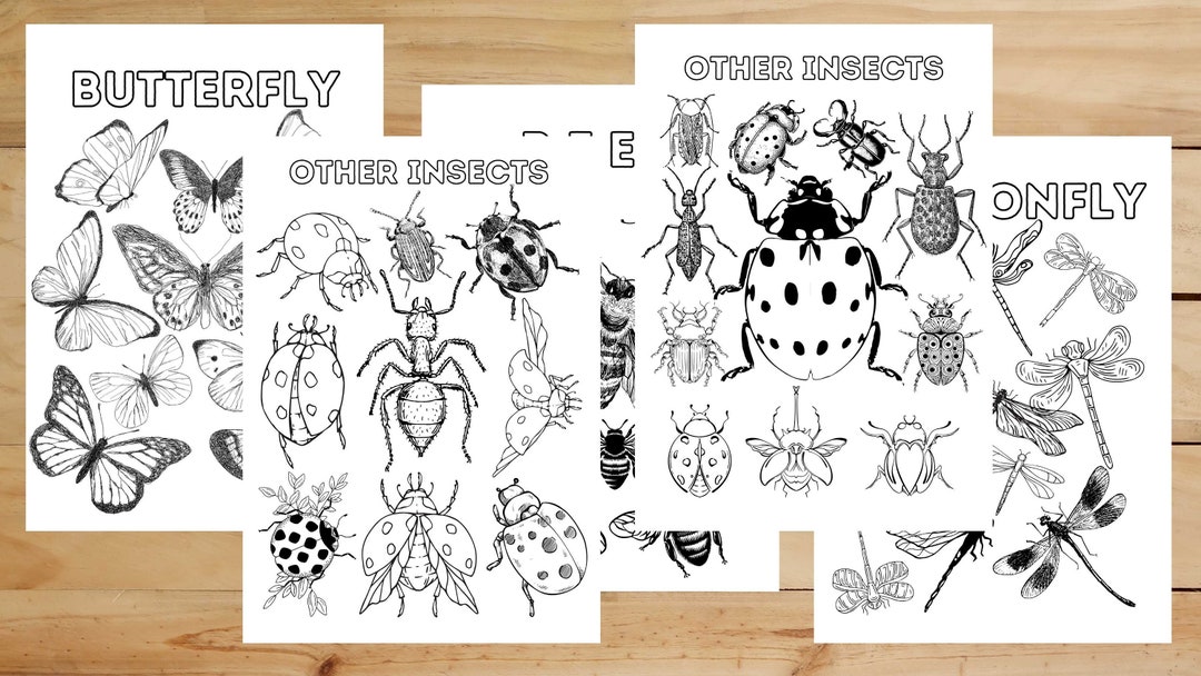 Set of 5 Insects Coloring Pages, Cute and Fun Coloring Pages, Adult and ...