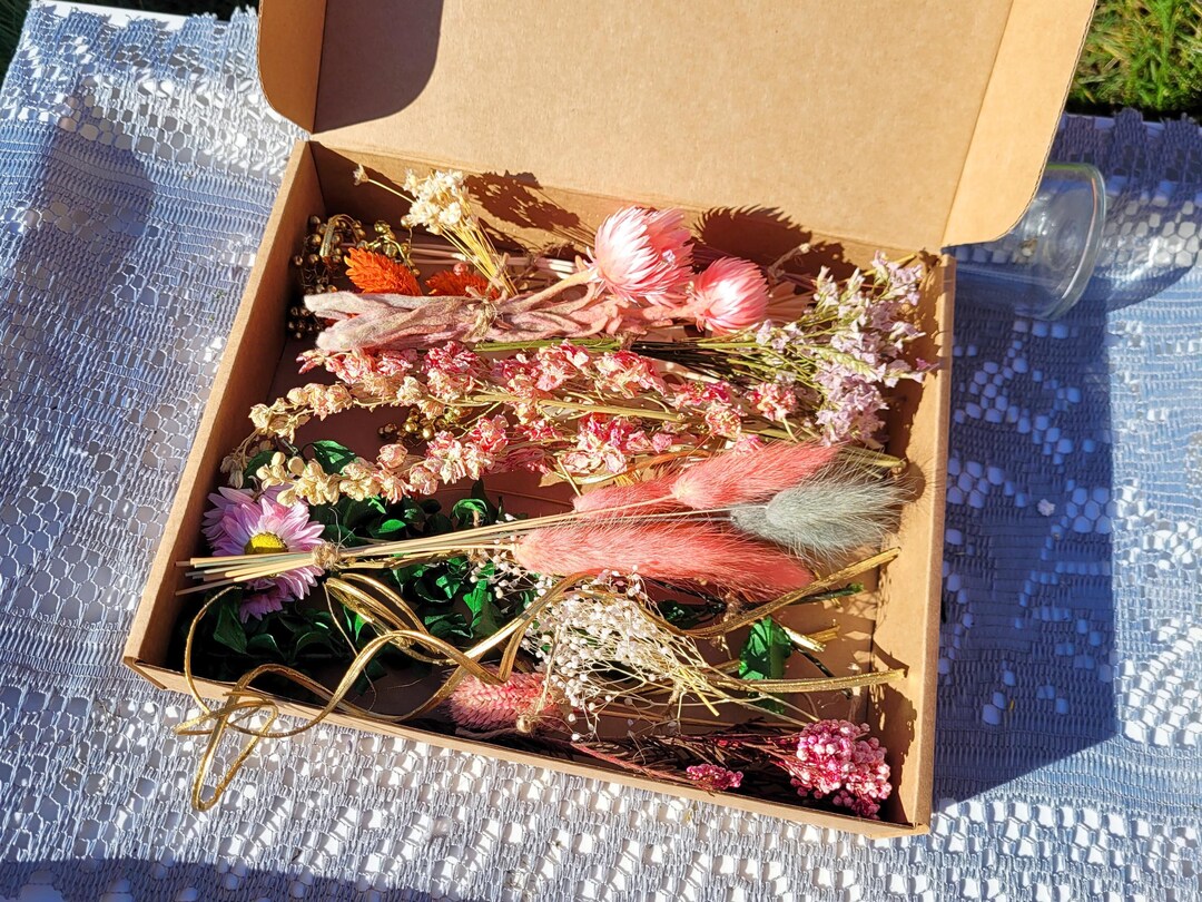Pink Dried Flower Craft Box: DIY Spring Posy Art Supplies - Etsy