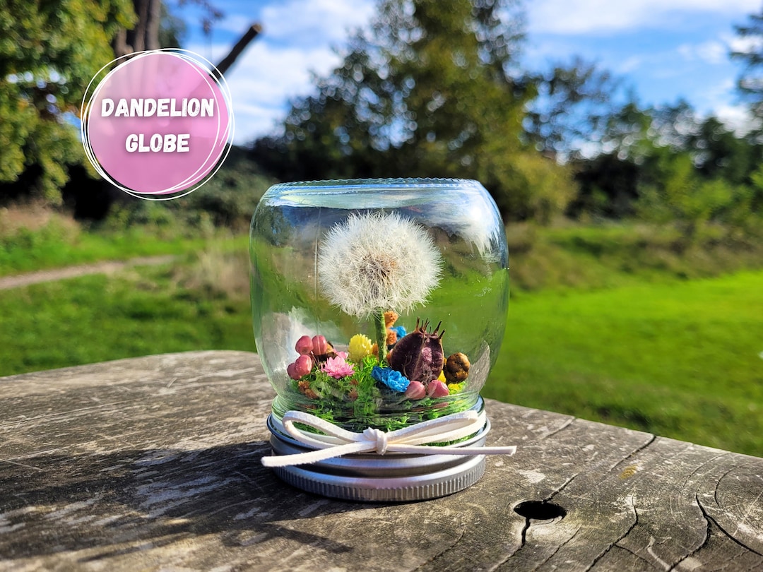 Dandelion Glass Globe, Real Dandelion and Colourful Flowers Glass Dome ...