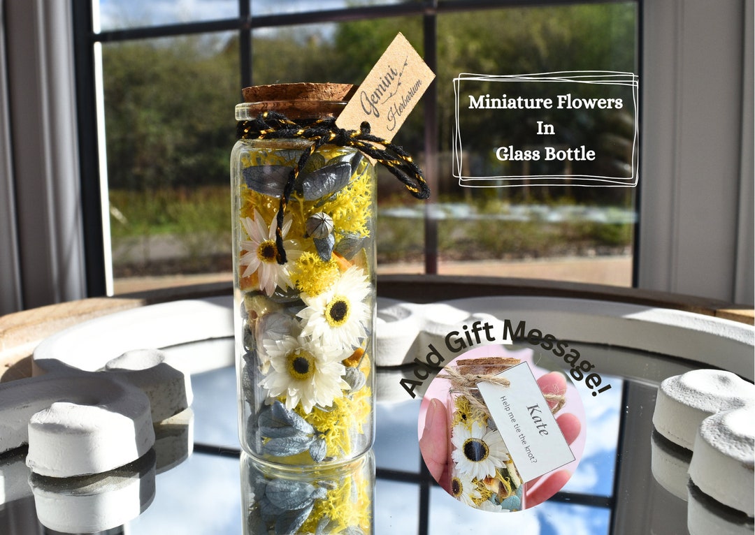 White Daisy in Glass Bottle With Personalised Message, Spring Flower ...