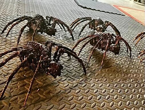 Custom Corpsed Spiders - Etsy