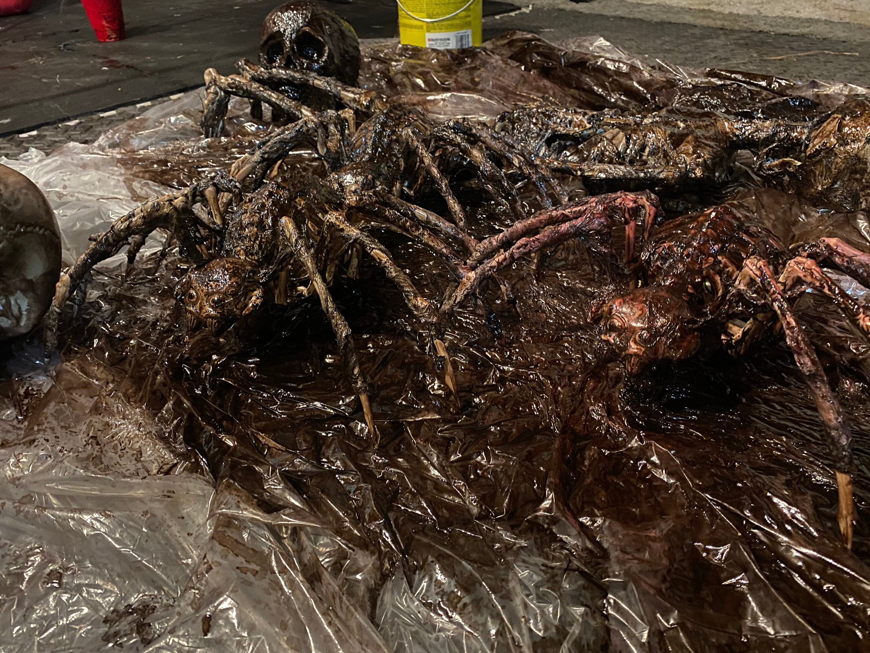 Custom Corpsed Spiders - Etsy