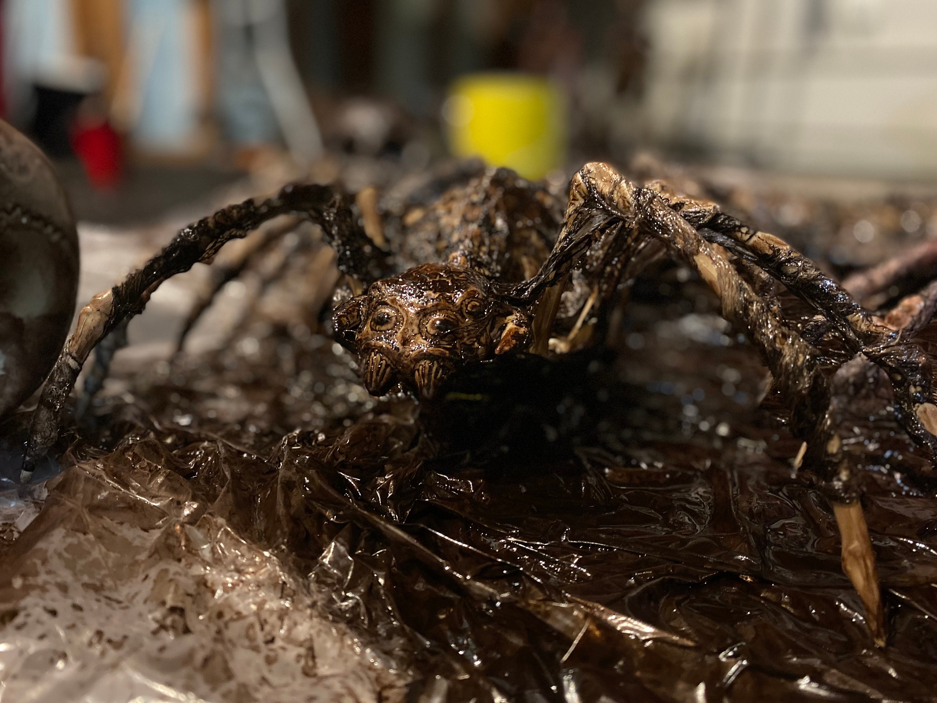 Custom Corpsed Spiders - Etsy