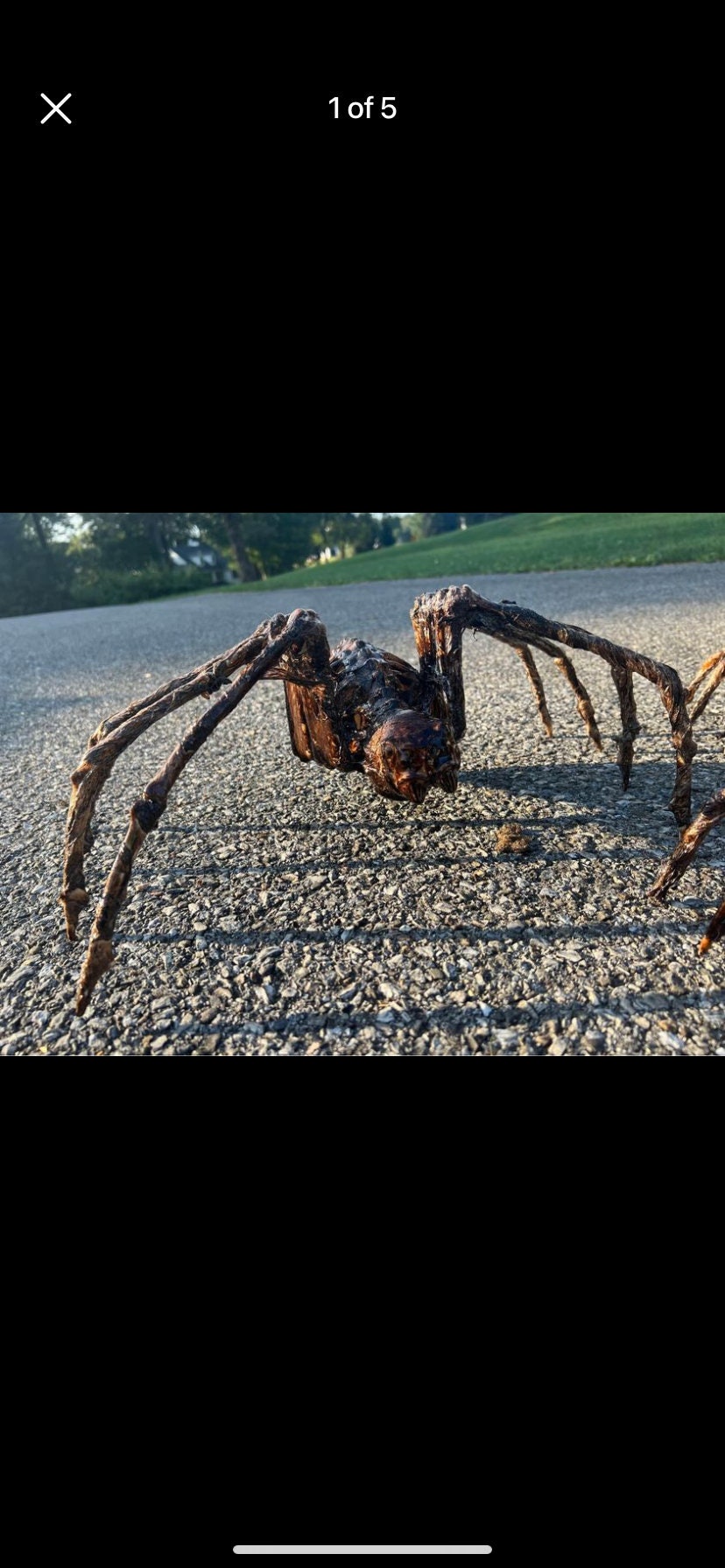Custom Corpsed Spiders - Etsy