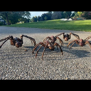 Custom Corpsed Spiders - Etsy
