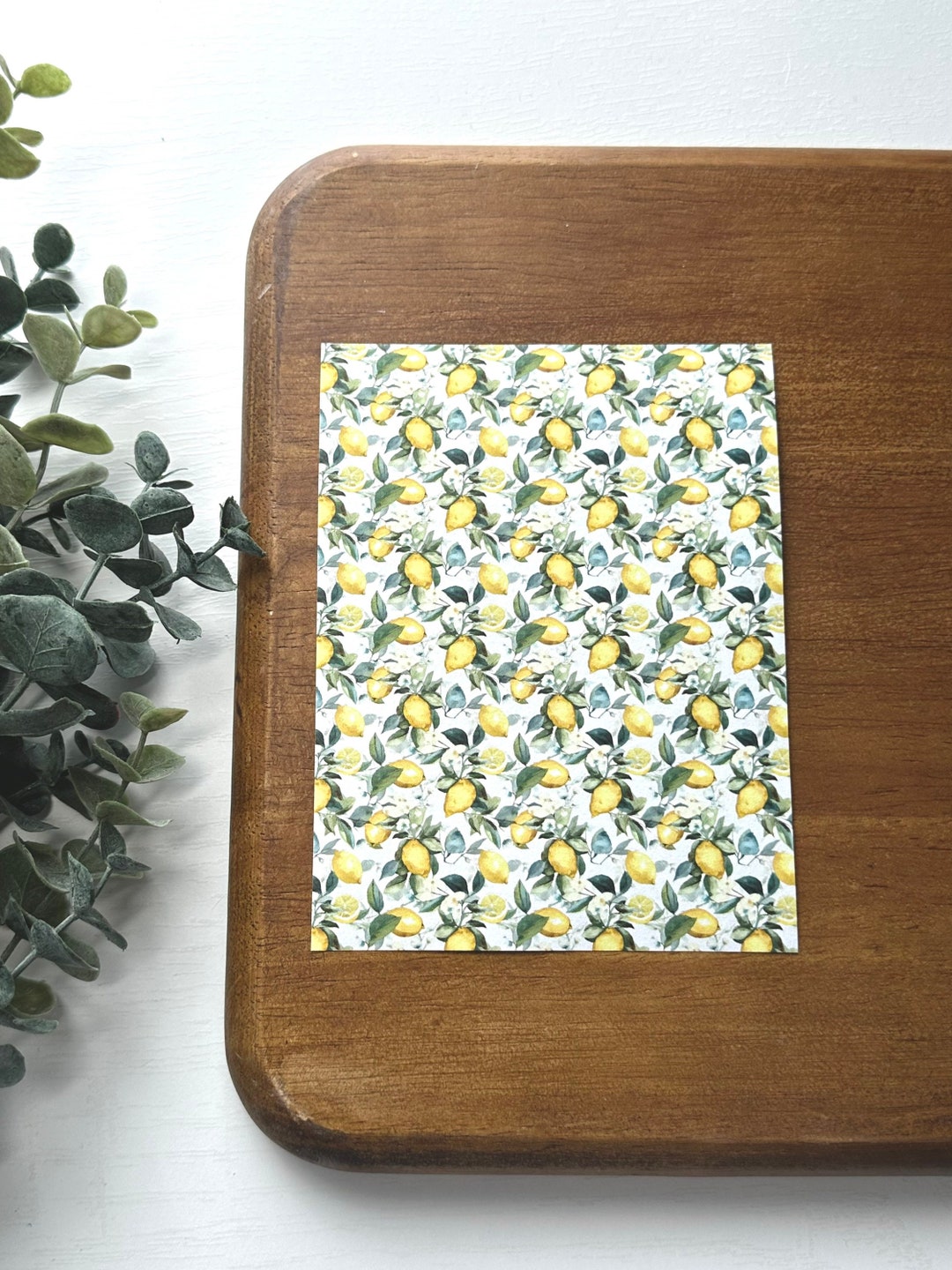 Lemon Tree FR10 Water Soluble Transfer Paper Polymer Clay Image ...