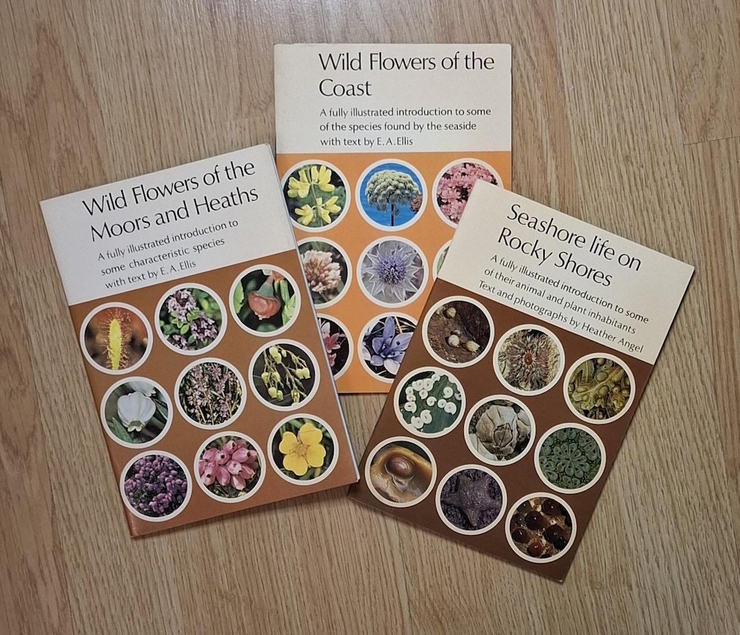1970s British Nature Books Set of 3 Botany Study British Wildflower ...