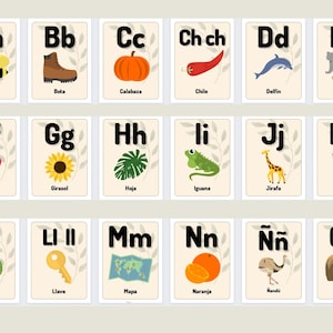 Spanish-carteles Del Alfabeto Espanol- Spanish Alphabet Cards - Etsy