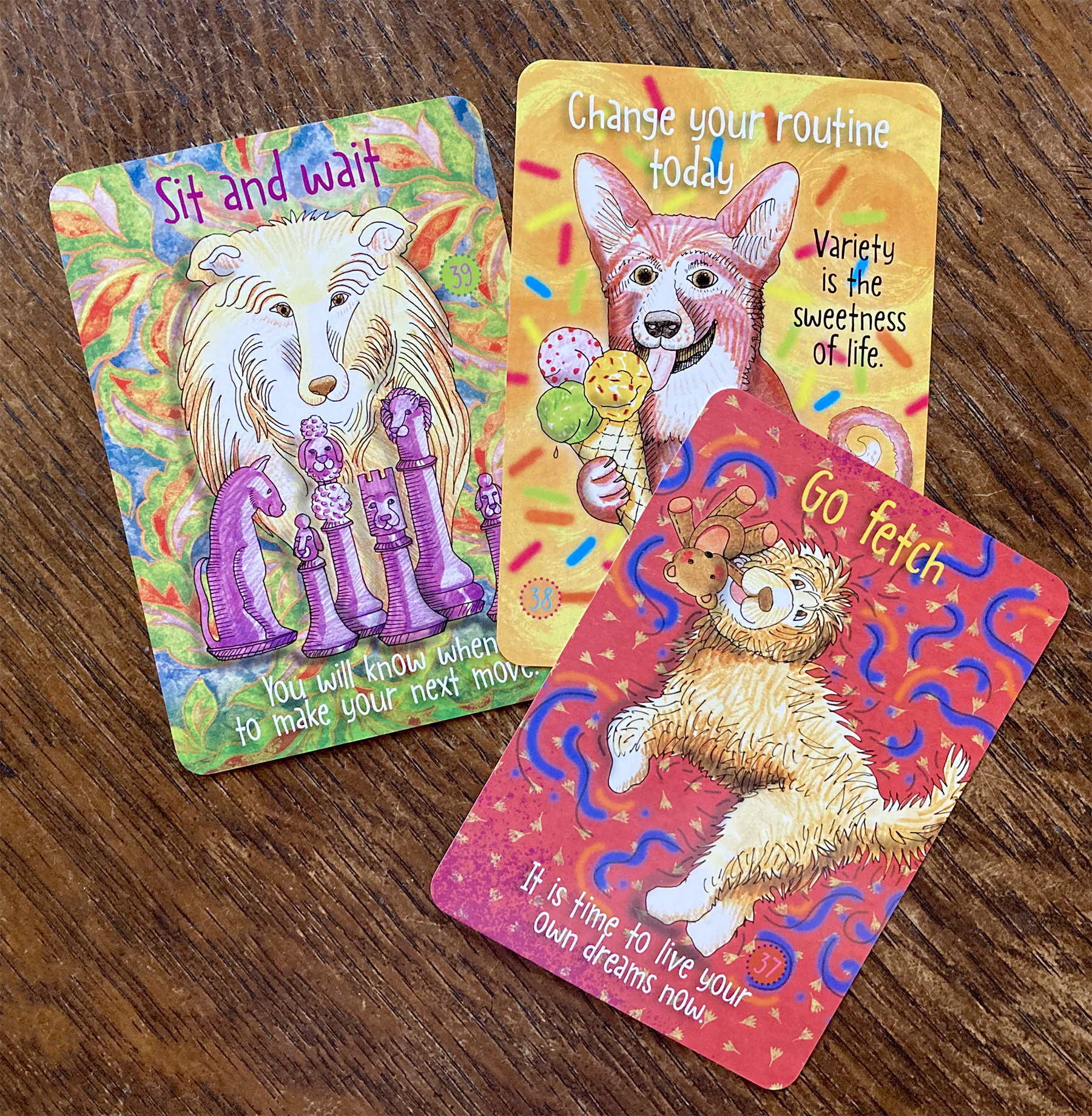 Messages From DOG Oracle Cards & Guidebook - Etsy