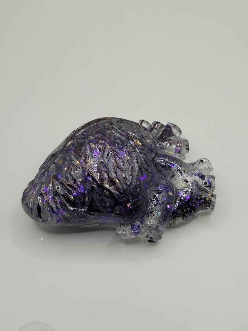 Anatomical Resin Heart - Etsy