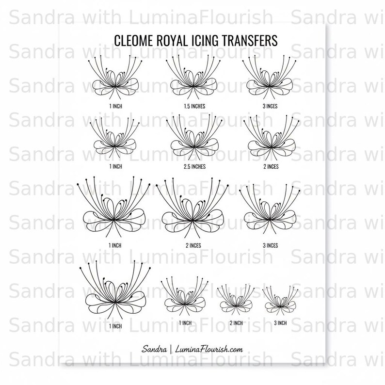 Cleome Flower Royal Icing Transfers, Cookie Decorating Template ...