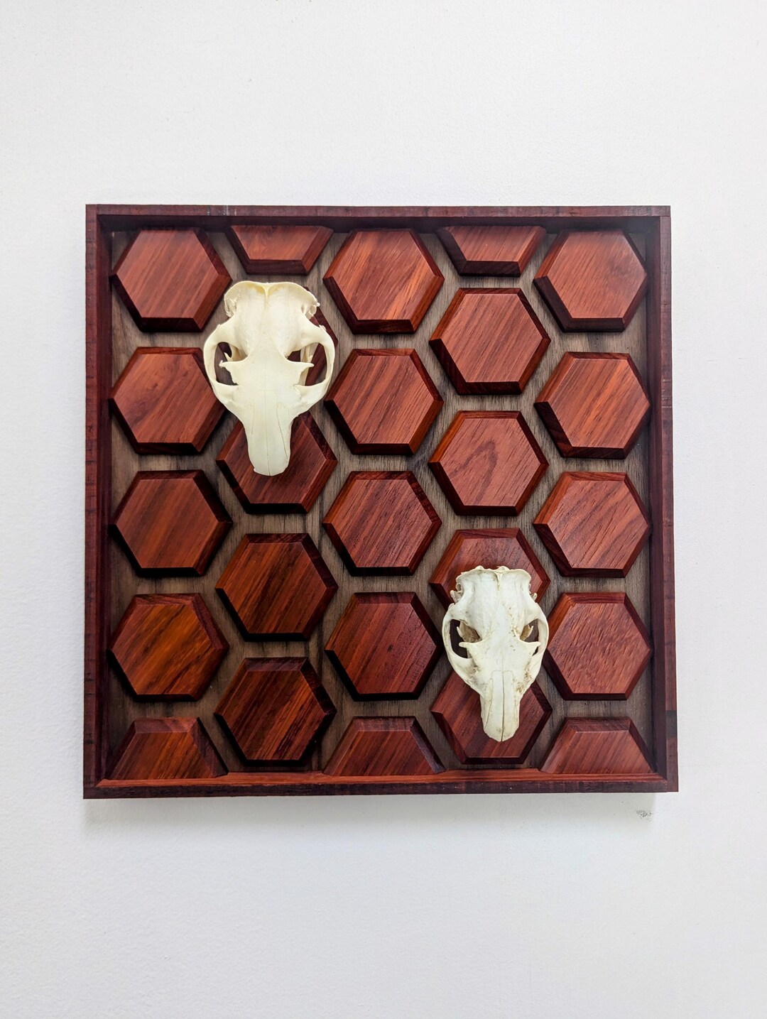 Geometric Oddities Wall Hanging Featuring Hexagons and Two Muskrat ...