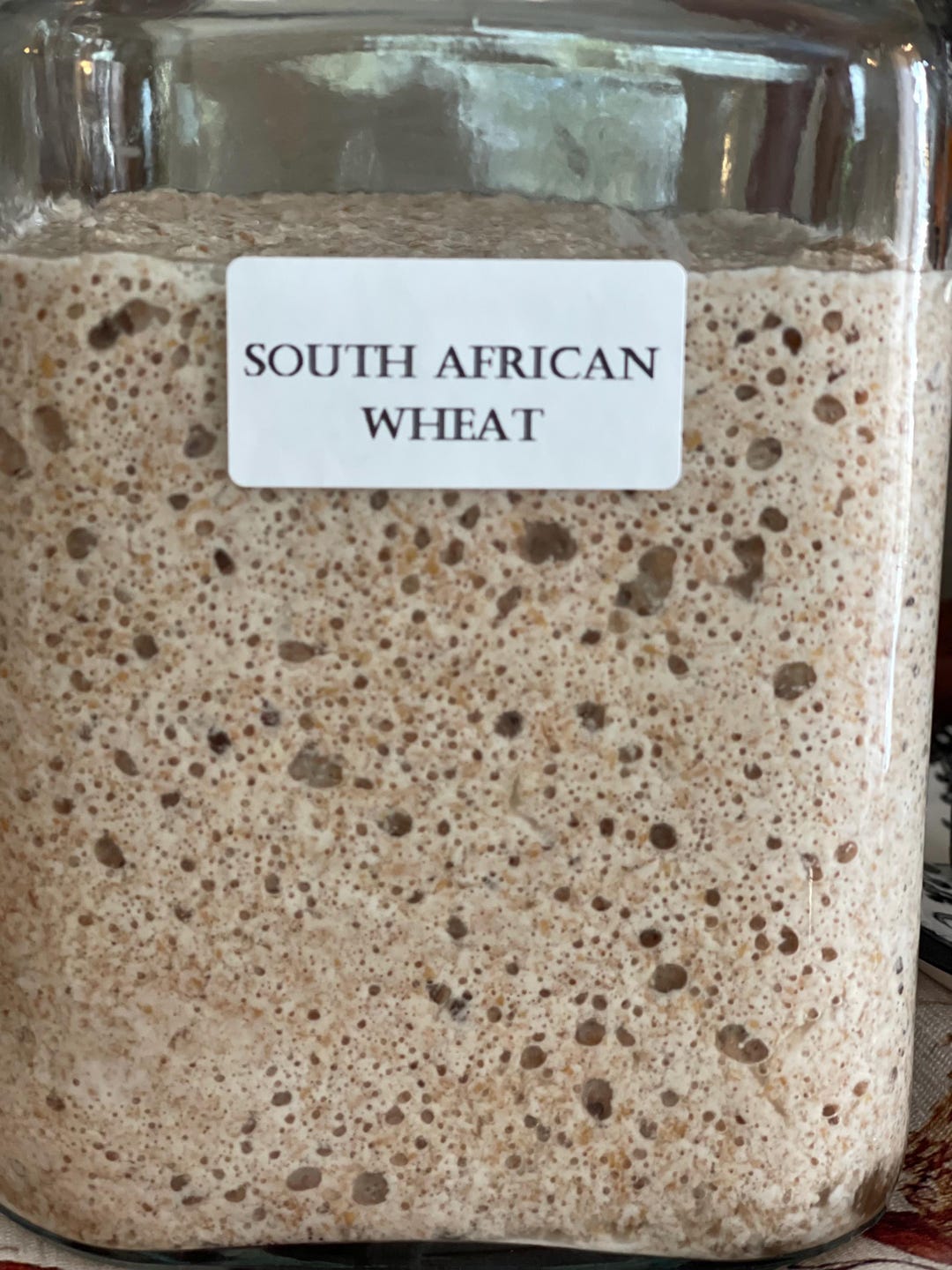 South African Wheat Organic Sourdough Starter - Etsy