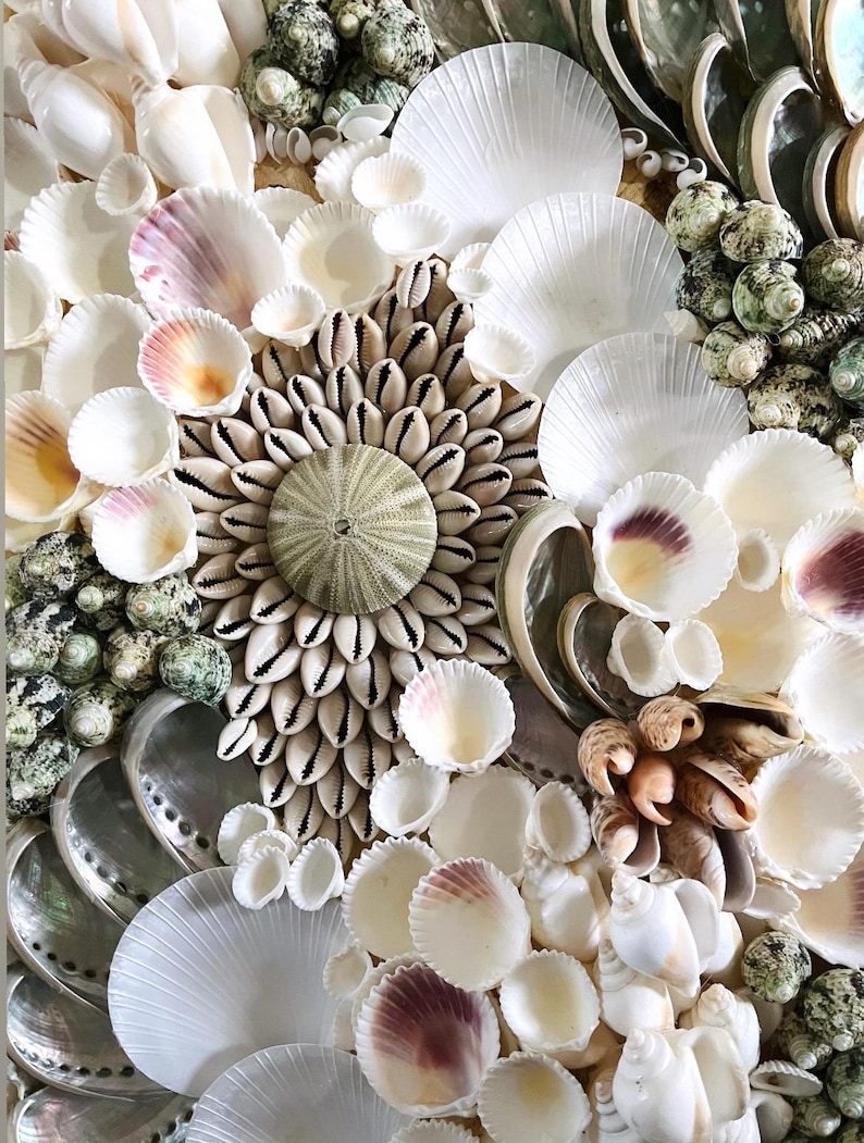 Sea Shell Wall Panels- Full Wall Mosaics All Natural Seashells Urchins ...