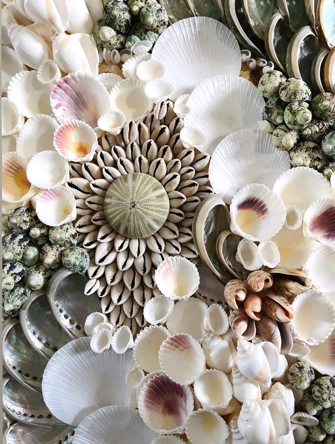 Sea Shell Wall Panels- Full Wall Mosaics All Natural Seashells Urchins ...