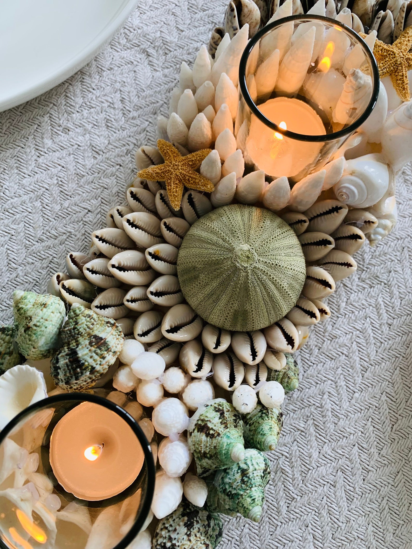 Seashell Candle Holder MERMAIDS GARDEN & DEEPSEA Shell Sculptures ...