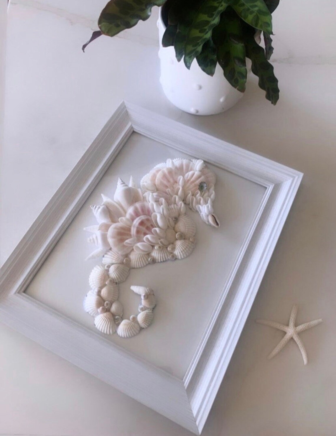 Seashell Seahorse in Frame Handmade Wall Art on Linen Decor Nautical ...