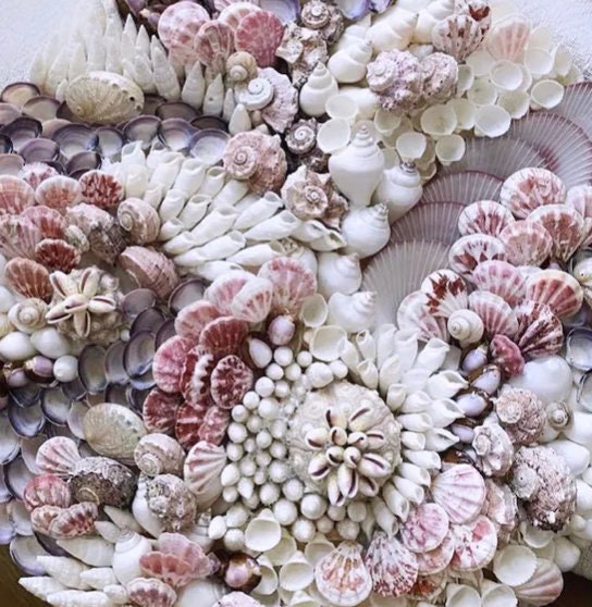Sea Shell Wall Panels Full Wall Mosaics All Natural Seashells Urchins ...
