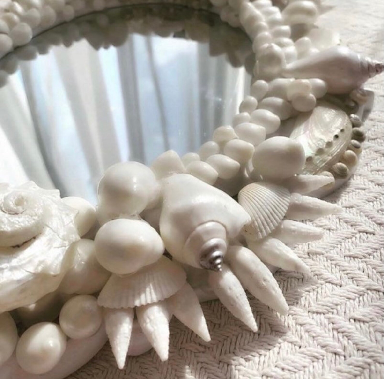 EMMA SEASHELL MIRROR Natural Sea Shell Mirror Adorned With White and ...