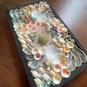 Framed Seashell Wall Mosaic Natural Sea Shells Coastal Nautical Wall ...