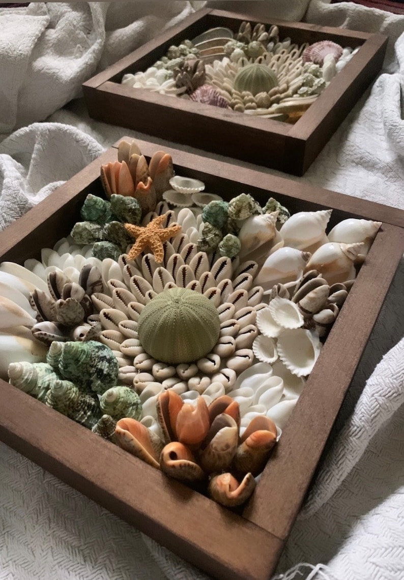 Framed Seashell Wall Mosaic Natural Sea Shells Coastal Nautical Wall ...