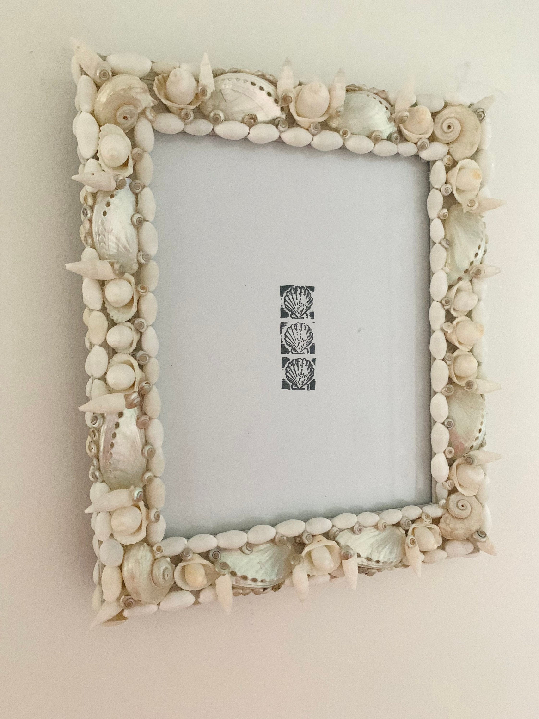 Sea Shell Picture Frame CRISTINA Frame Natural Rare Pearlized - Etsy