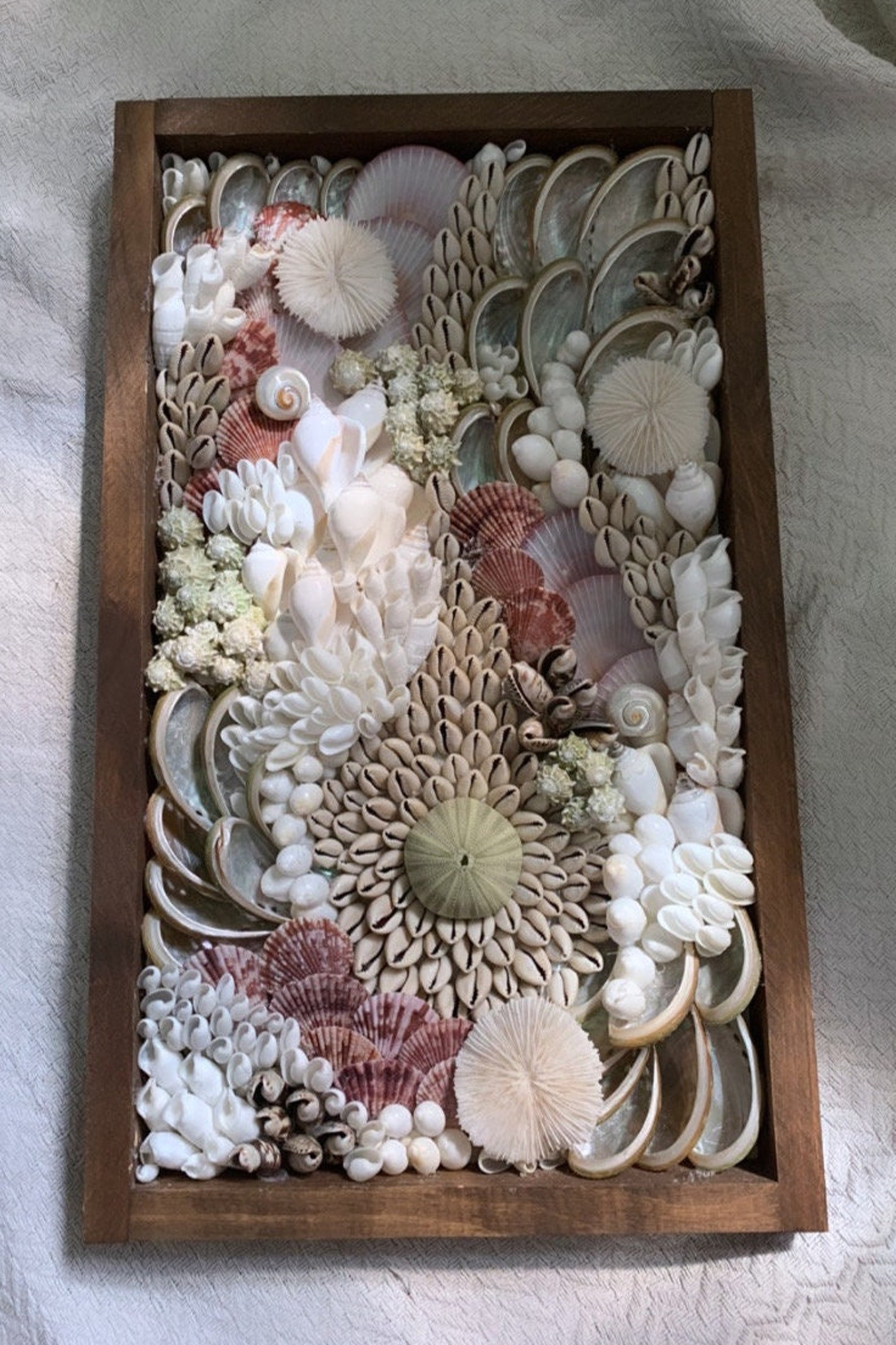 Framed Seashell Wall Mosaic Natural Sea Shells Coastal Nautical Wall ...