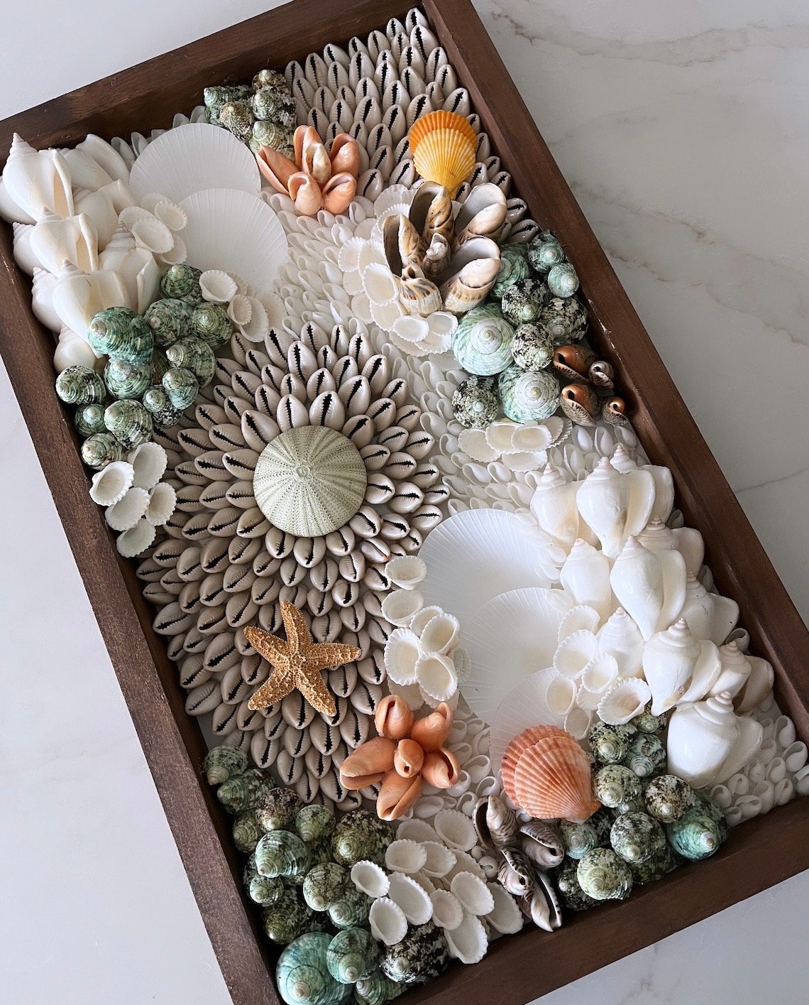 Framed Seashell Wall Mosaic Natural Sea Shells Coastal Nautical Wall ...
