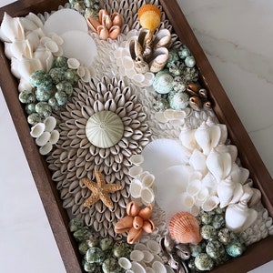 Framed Seashell Wall Mosaic Natural Sea Shells Coastal Nautical Wall ...