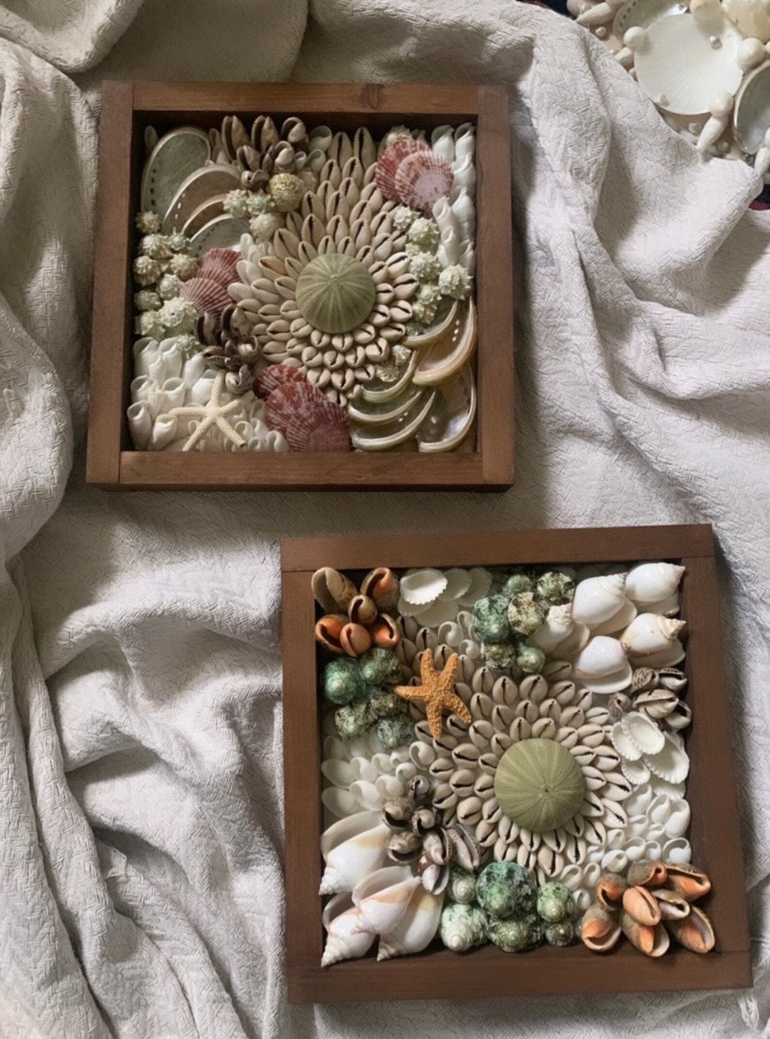 Framed Seashell Wall Mosaic Natural Sea Shells Coastal Nautical Wall ...