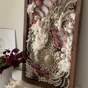 Framed Seashell Wall Mosaic Natural Sea Shells Coastal Nautical Wall ...