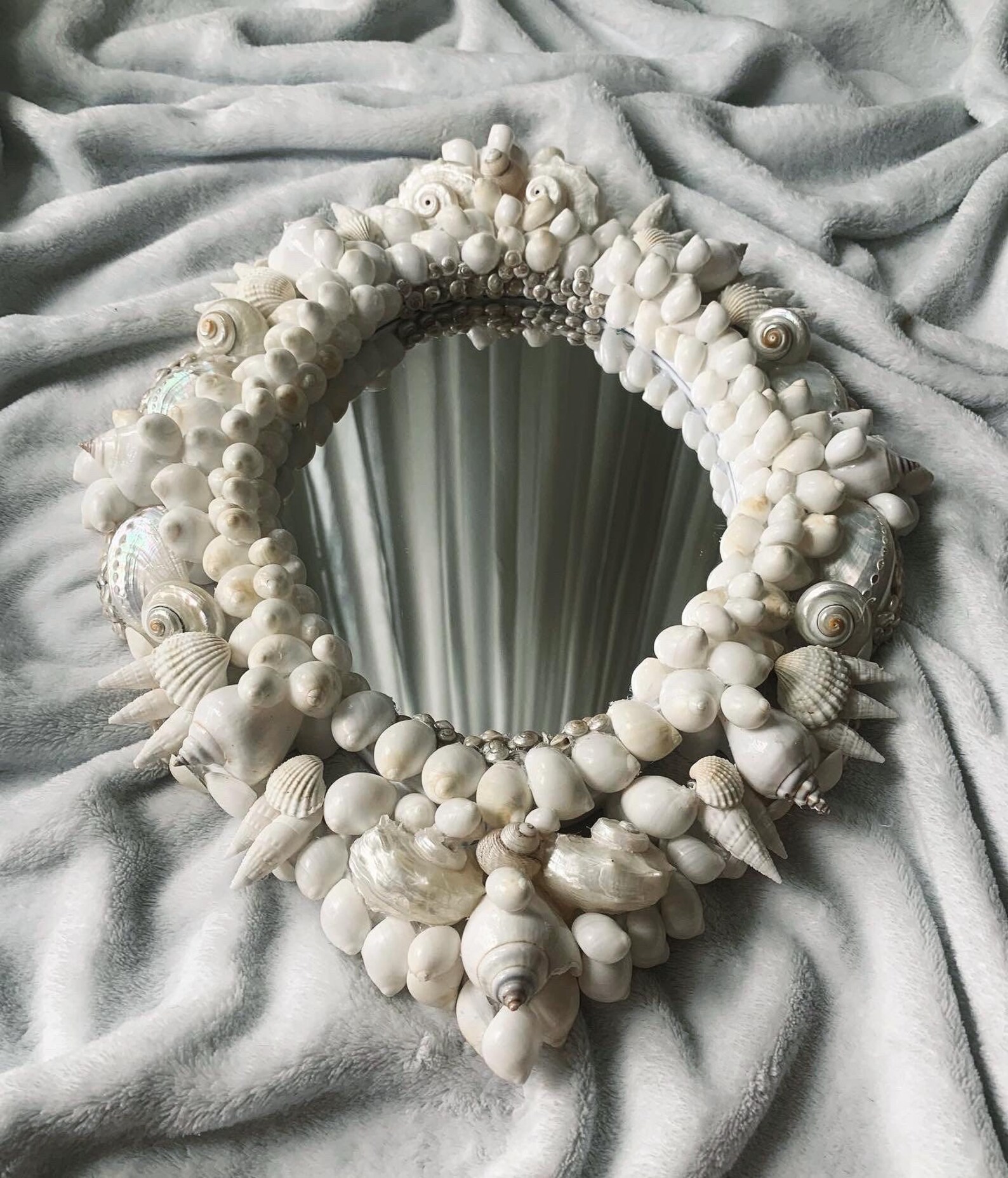 EMMA SEASHELL MIRROR Natural Sea Shell Mirror Adorned With White and ...