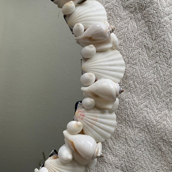 Seashell Mirror - Etsy