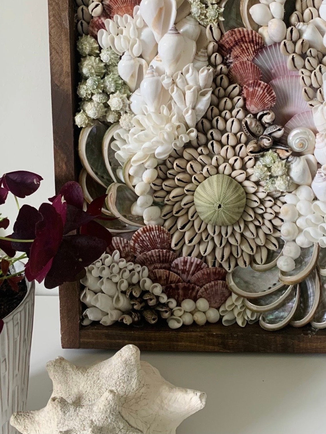 Framed Seashell Wall Mosaic Natural Sea Shells Coastal Nautical Wall ...