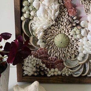 Framed Seashell Wall Mosaic Natural Sea Shells Coastal Nautical Wall ...
