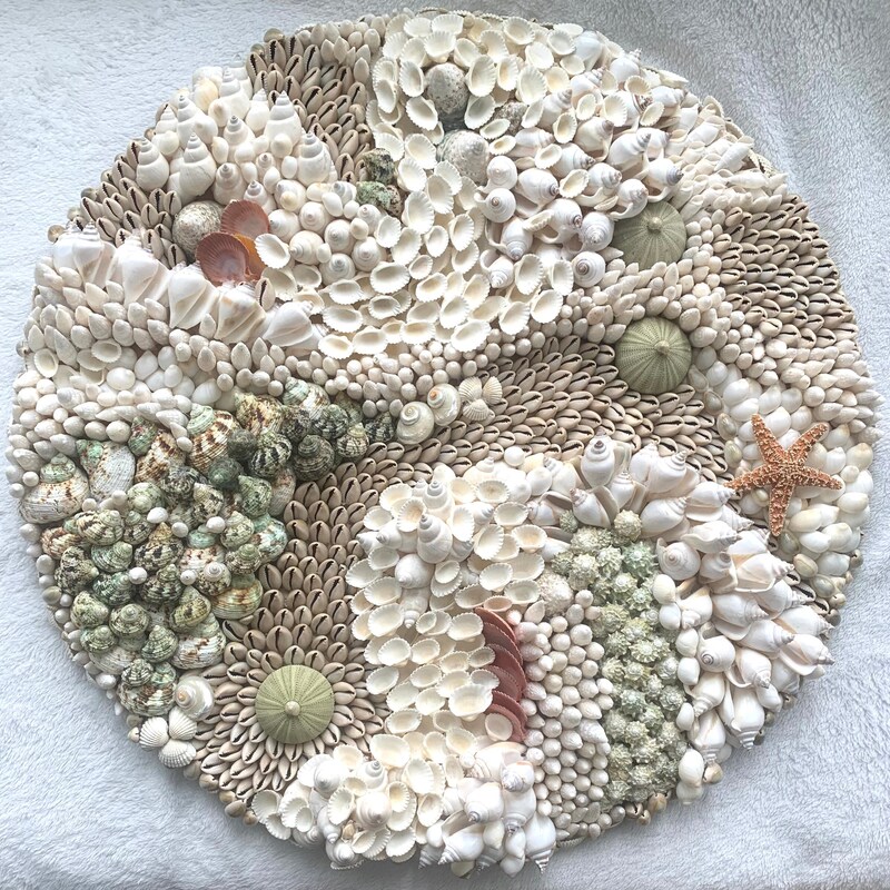 Large Seashell Wall Art - Etsy