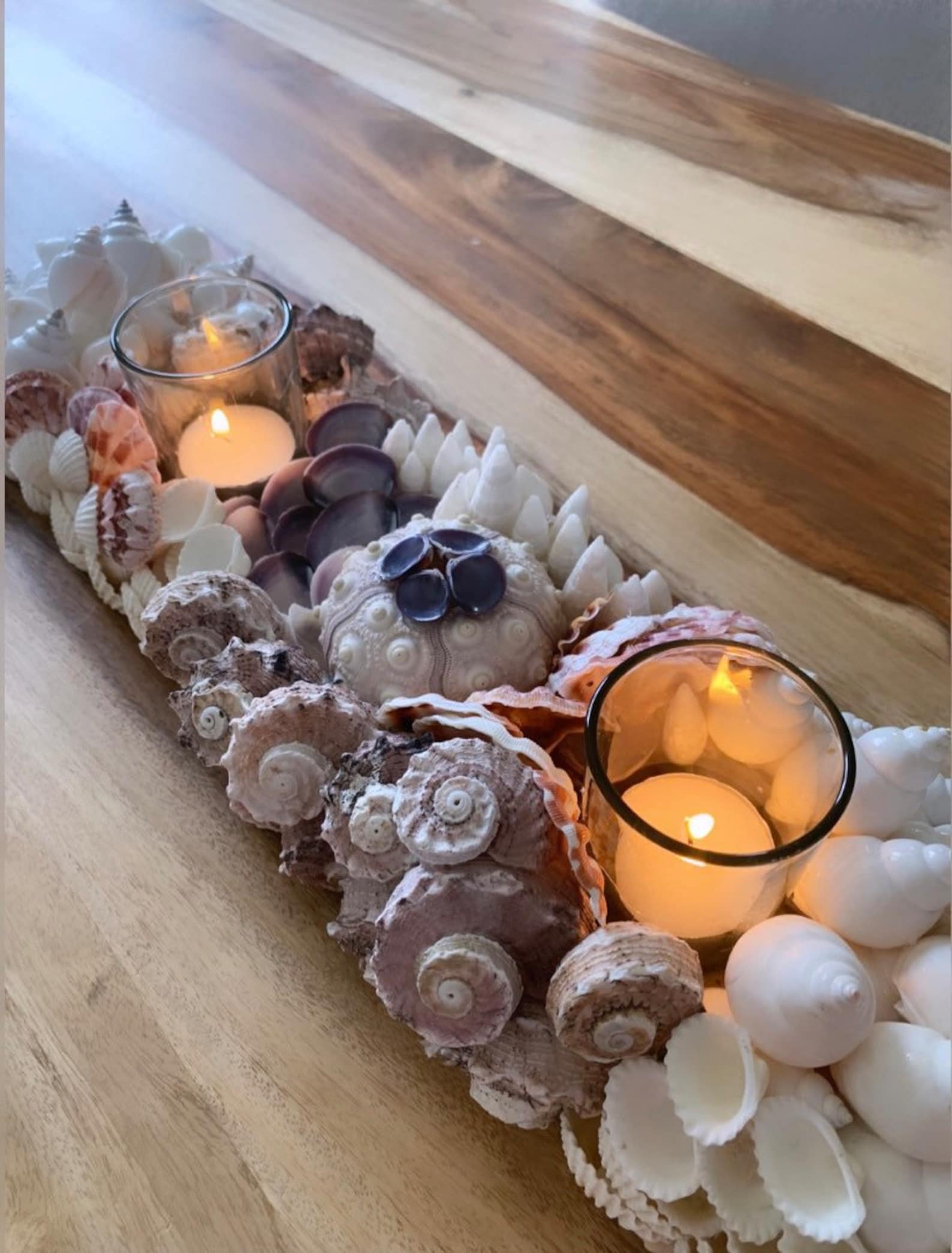 Seashell Candle Holder MERMAIDS GARDEN & DEEPSEA Shell Sculptures ...