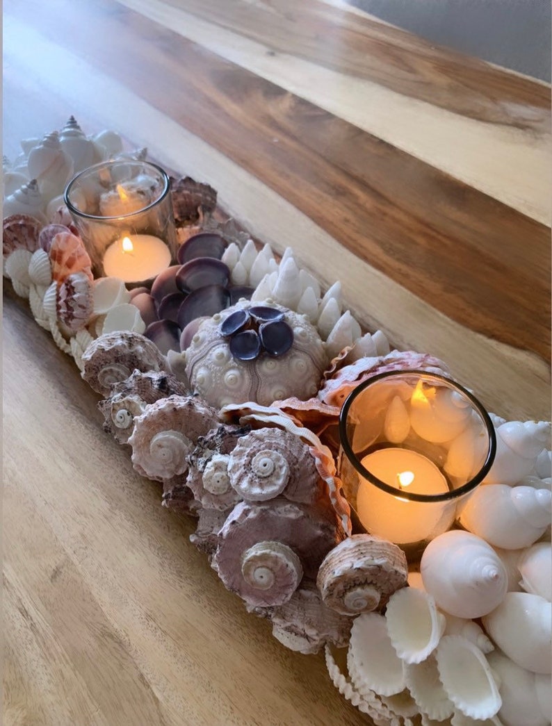 Seashell Candle Holder MERMAIDS GARDEN & DEEPSEA Shell Sculptures ...