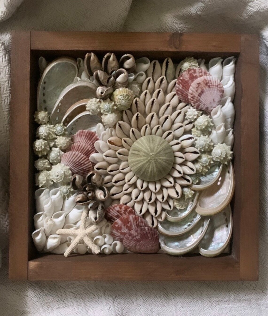 Framed Seashell Wall Mosaic Natural Sea Shells Coastal Nautical Wall ...