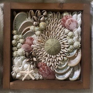 Framed Seashell Wall Mosaic Natural Sea Shells Coastal Nautical Wall ...