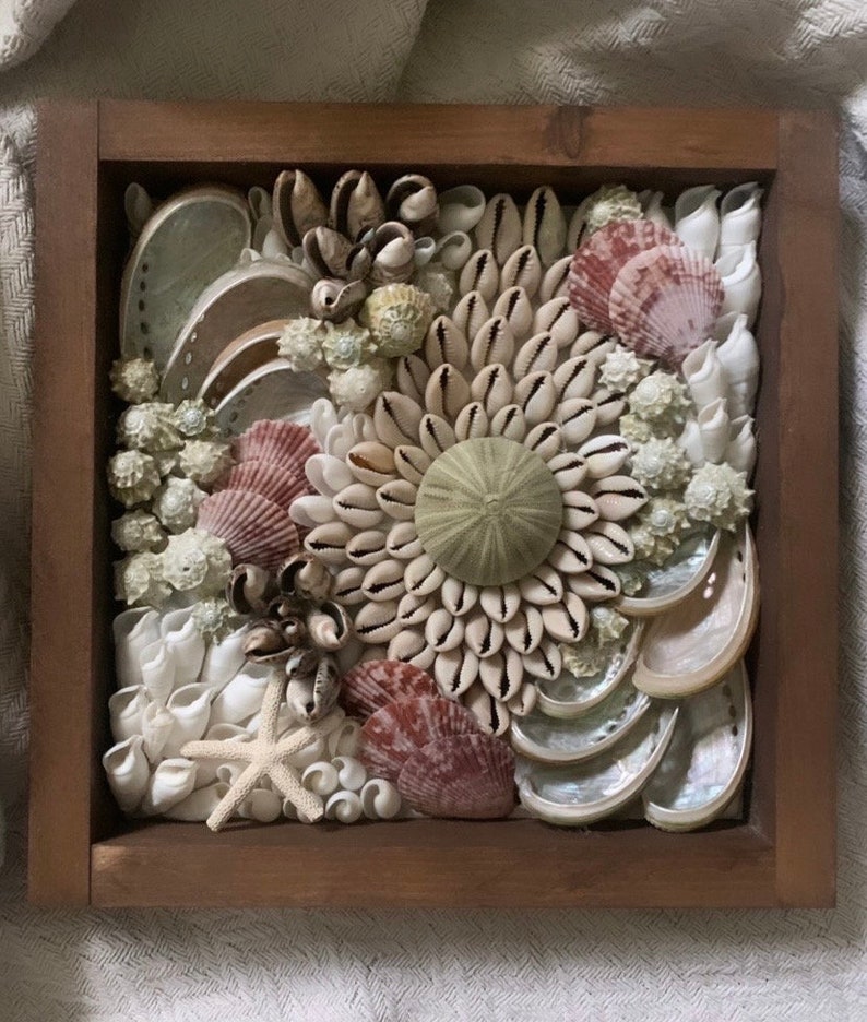Framed Seashell Wall Mosaic Natural Sea Shells Coastal Nautical Wall ...