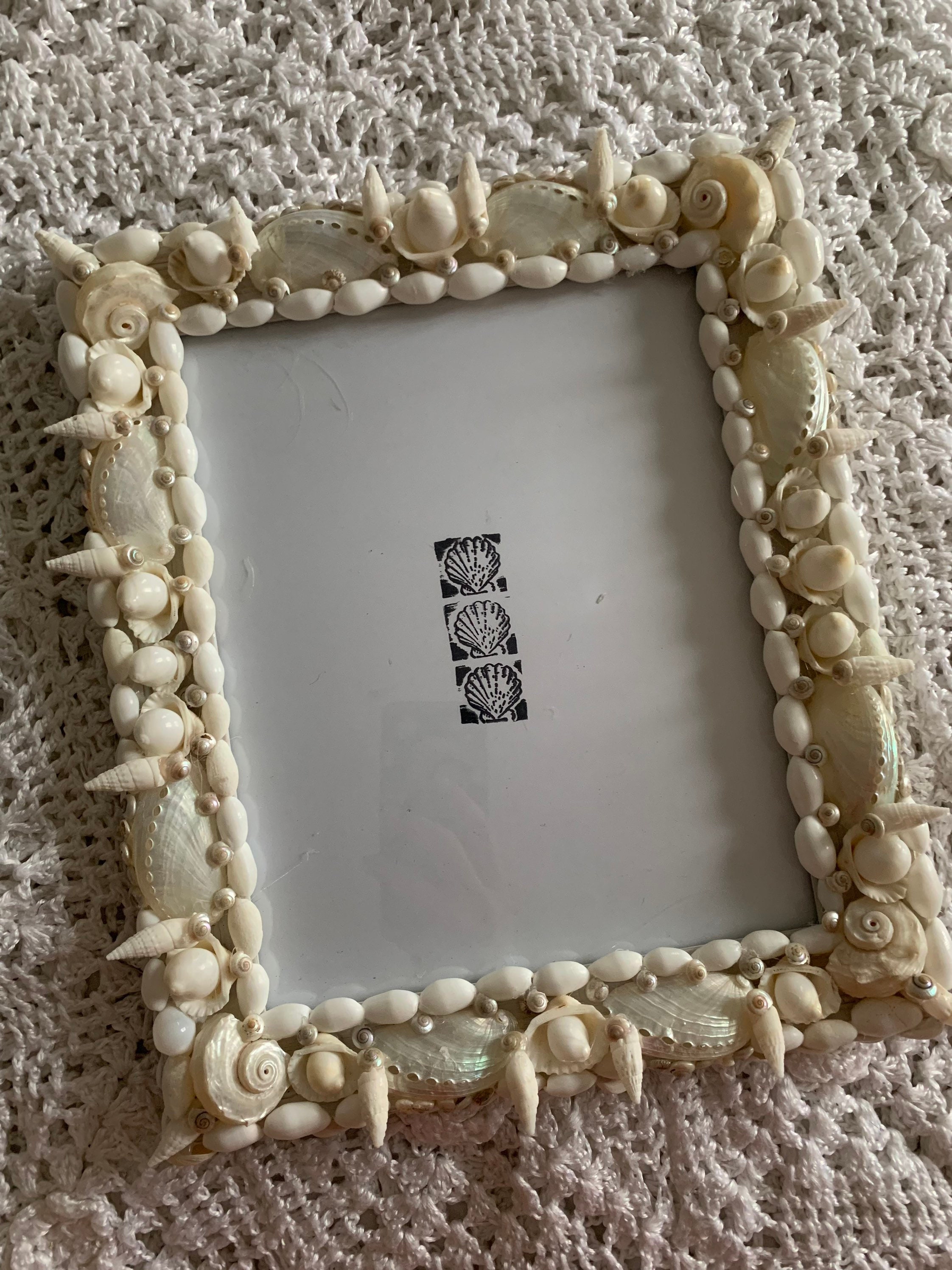 Sea Shell Picture Frame CRISTINA Frame Natural Rare Pearlized White ...