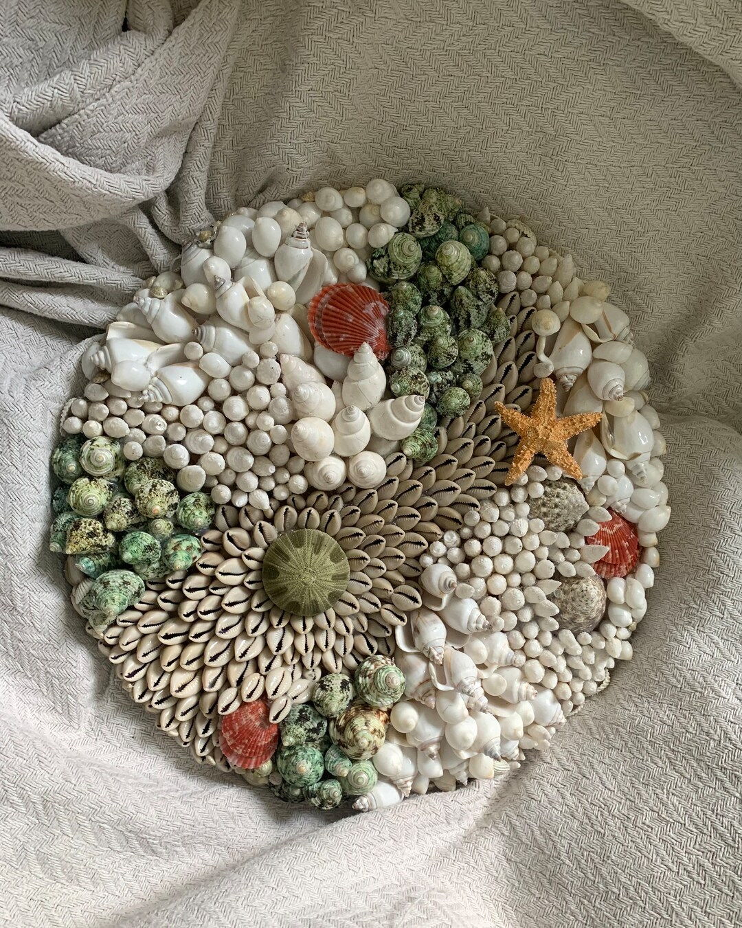 Seashell Mural DEEP SEA CORALREEF Natural Sea Shells Urchins Starfish ...