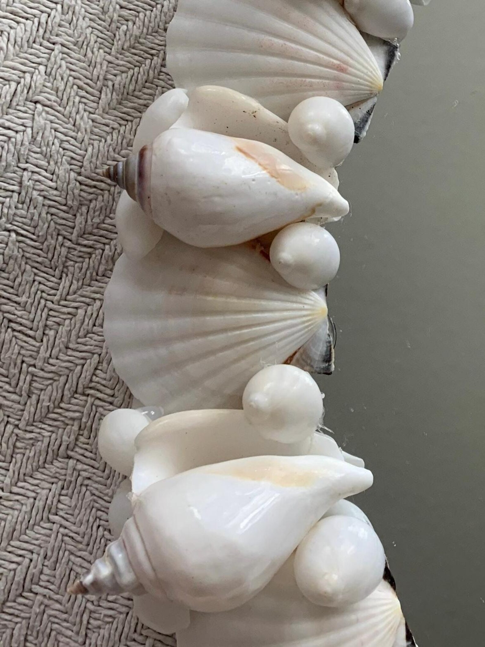 Seashell Mirror bella Mirrorall Natural White and Rare Sea Shells ...