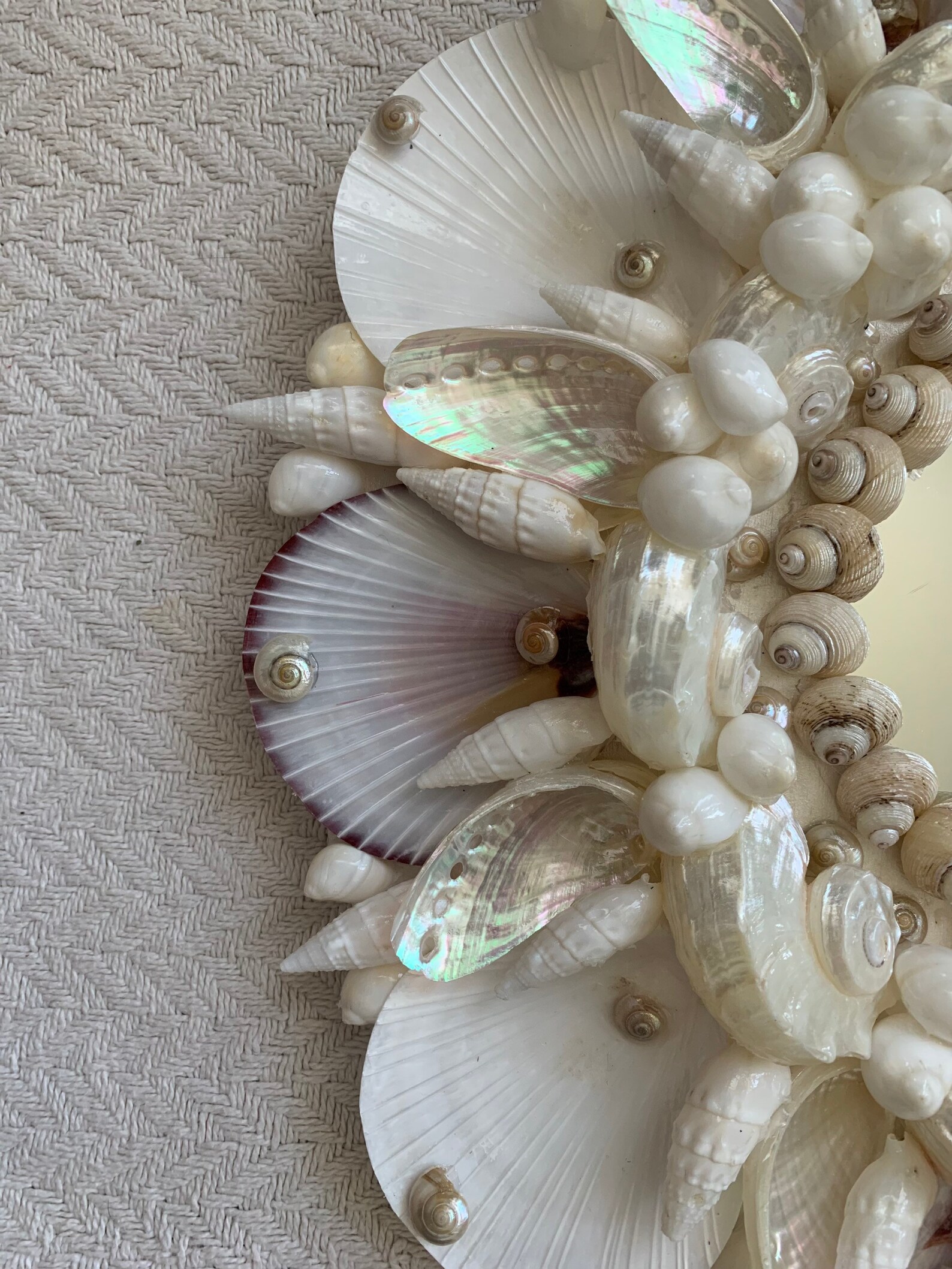 Sea Shell Mirror Décor Nautical High End ESMERALDA MIRROR - Etsy