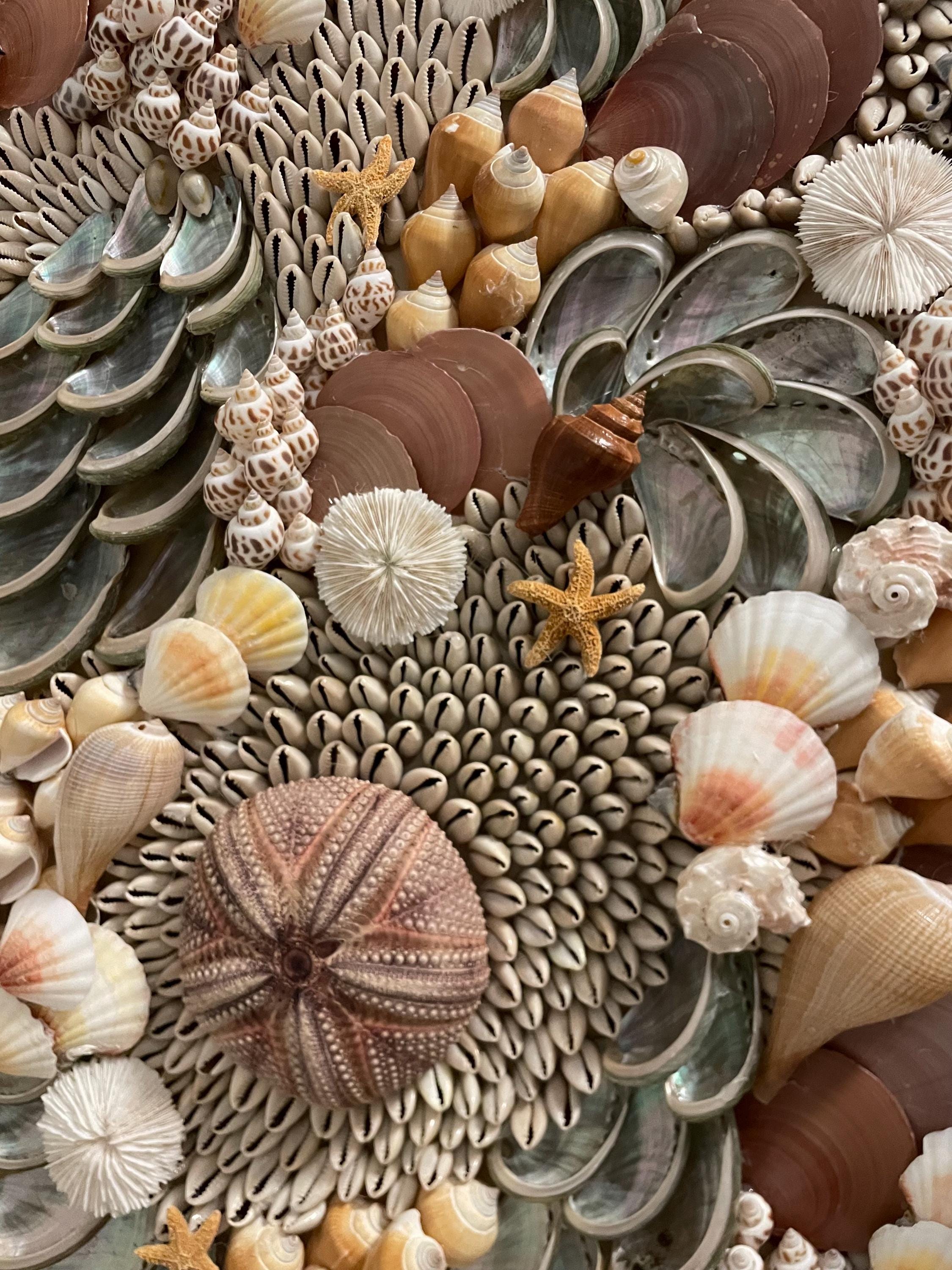 Large Framed Seashell Wall Mosaic CORAL REEF Natural Sculpture Wall ...