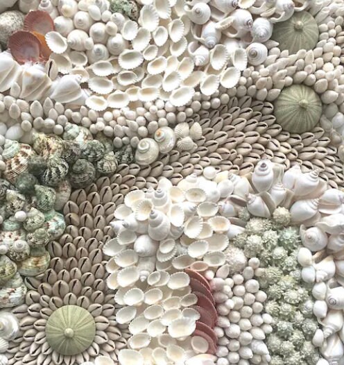 Sea Shell Wall Panels Full Wall Mosaics All Natural Seashells Urchins ...
