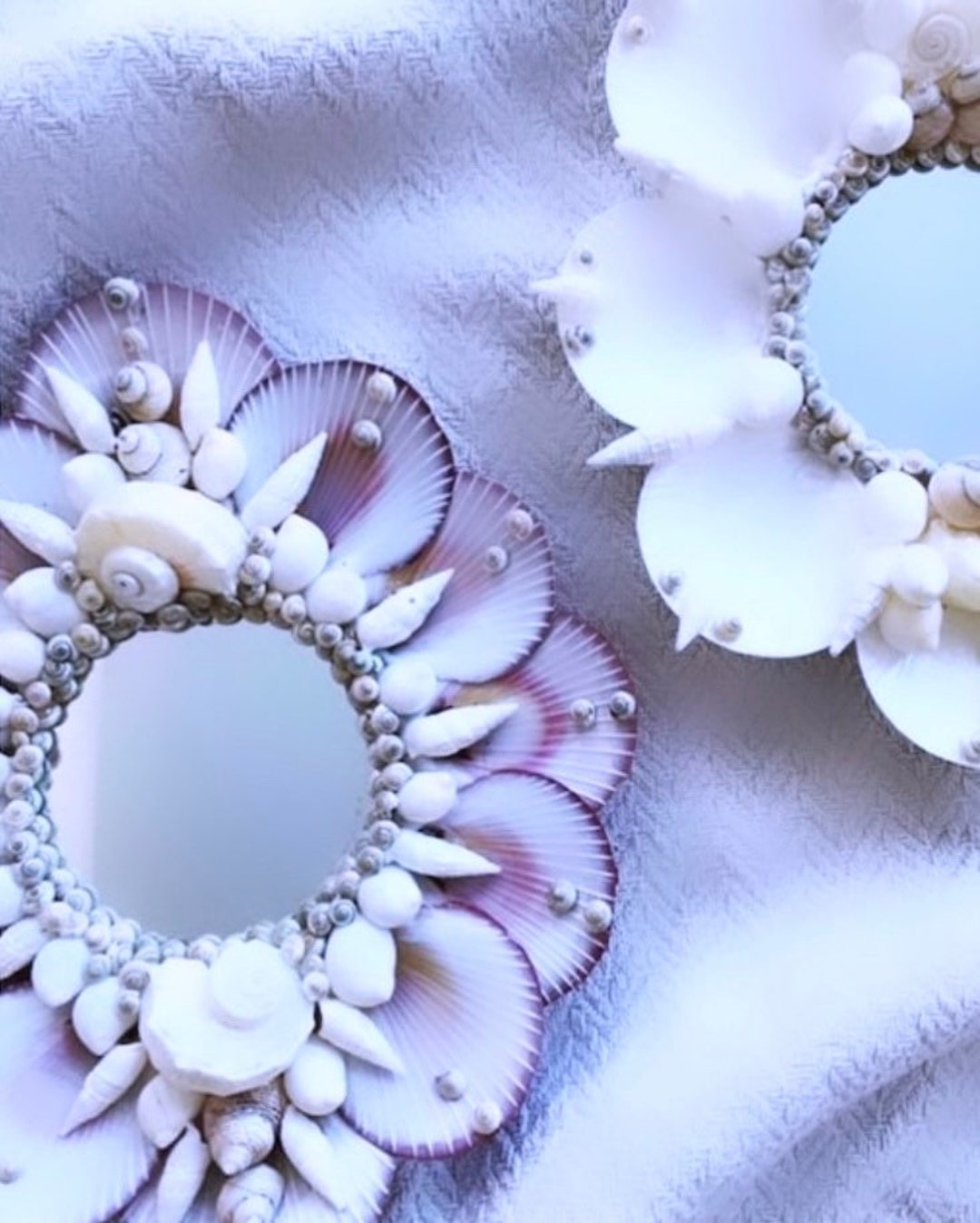 ESMERALDA SHELL DECOR All Natural Rare Seashell Wall Hanging Mirror ...